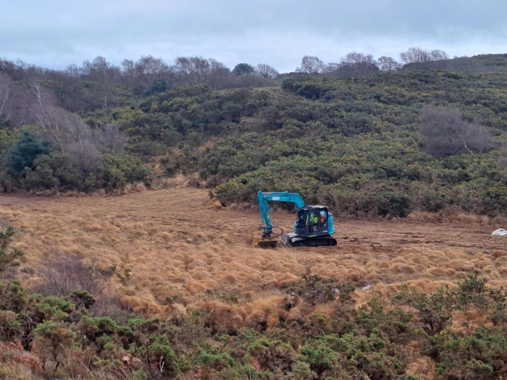 Dorset Peat Partnership – Dorset Local Nature Partnership